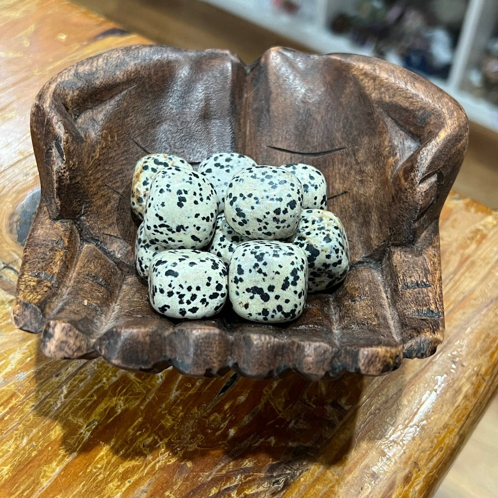 Tumbles | Dalmatian Jasper – Crystals by Sisters