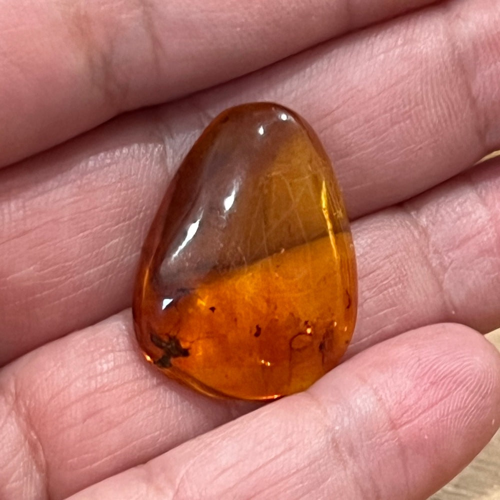 Insect in Amber – Crystals by Sisters