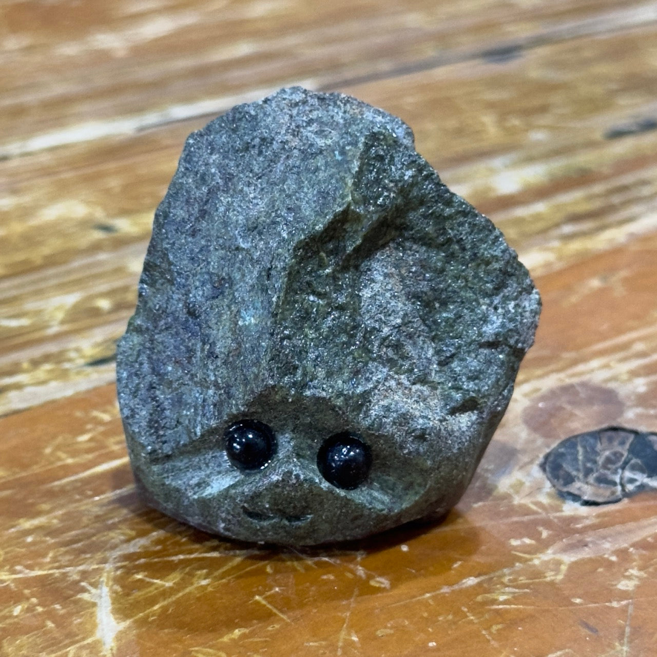 Dragon Blood Stone Groot – Crystals by Sisters