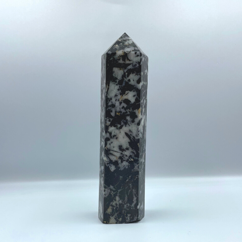 Black Tourmaline in Quartz Tower – Crystals by Sisters